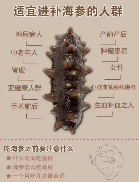 吃一个海参相当于吃了什么_海参营养价值对比-第2张图片-山城妙识