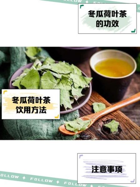 冬瓜荷叶茶能长期喝吗_长期喝冬瓜荷叶茶副作用-第1张图片-山城妙识