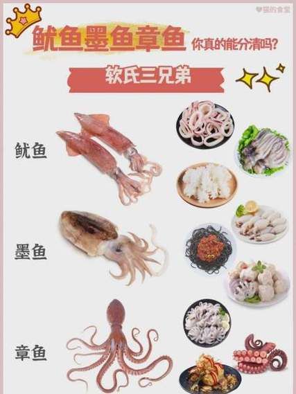 墨鱼鱿鱼和章鱼的区别_怎么区分章鱼墨鱼鱿鱼-第2张图片-山城妙识 墨鱼鱿鱼和章鱼的区别_怎么区分章鱼墨鱼鱿鱼-第2张图片-山城妙识