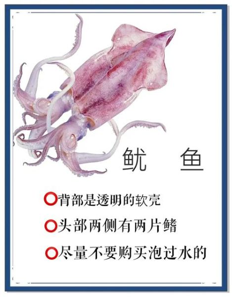 墨鱼鱿鱼和章鱼的区别_怎么区分章鱼墨鱼鱿鱼-第1张图片-山城妙识 墨鱼鱿鱼和章鱼的区别_怎么区分章鱼墨鱼鱿鱼-第1张图片-山城妙识