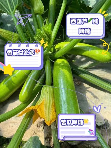 吃什么菜降血糖最快_糖尿病人吃什么蔬菜最好-第2张图片-山城妙识