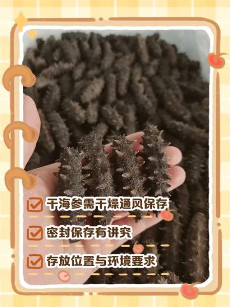 淡干海参保质期多久_怎么延长淡干海参保存时间-第2张图片-山城妙识