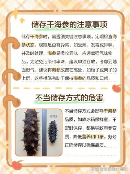 淡干海参保质期多久_怎么延长淡干海参保存时间-第1张图片-山城妙识