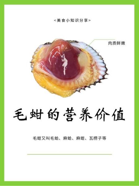 毛蛤蜊的营养价值_毛蛤蜊的功效与作用-第2张图片-山城妙识 毛蛤蜊的营养价值_毛蛤蜊的功效与作用-第2张图片-山城妙识