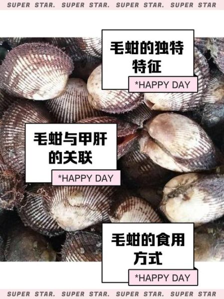 毛蛤蜊的营养价值_毛蛤蜊的功效与作用-第3张图片-山城妙识 毛蛤蜊的营养价值_毛蛤蜊的功效与作用-第3张图片-山城妙识