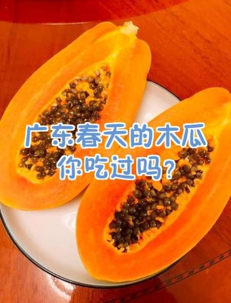 生木瓜怎么吃_生木瓜最简单的吃法-第2张图片-山城妙识