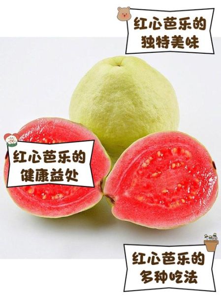 红心芭乐的籽能吃吗_红心芭乐籽的功效与作用-第1张图片-山城妙识