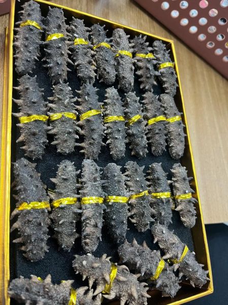 干海参多少钱一斤_如何挑选性价比高的干海参-第1张图片-山城妙识 干海参多少钱一斤_如何挑选性价比高的干海参-第1张图片-山城妙识