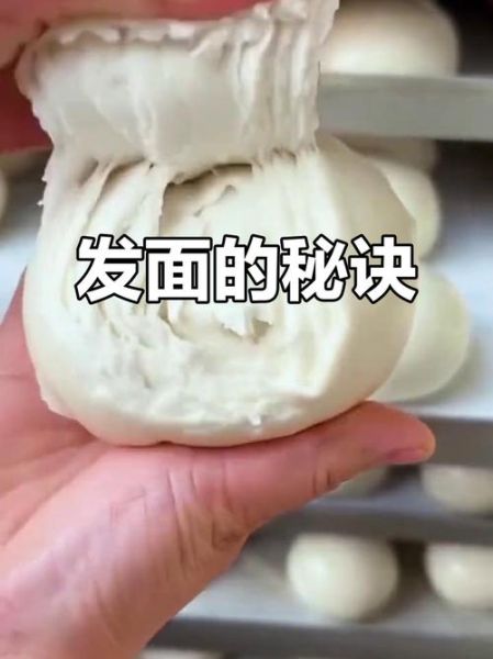 不用酵母粉怎样快速发面_家庭实用技巧-第3张图片-山城妙识