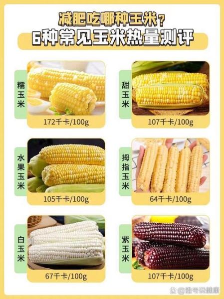 减肥为什么不能吃玉米_玉米热量高吗-第1张图片-山城妙识