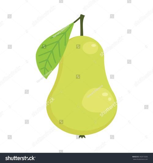 pear怎么拼写_pear的正确发音-第2张图片-山城妙识