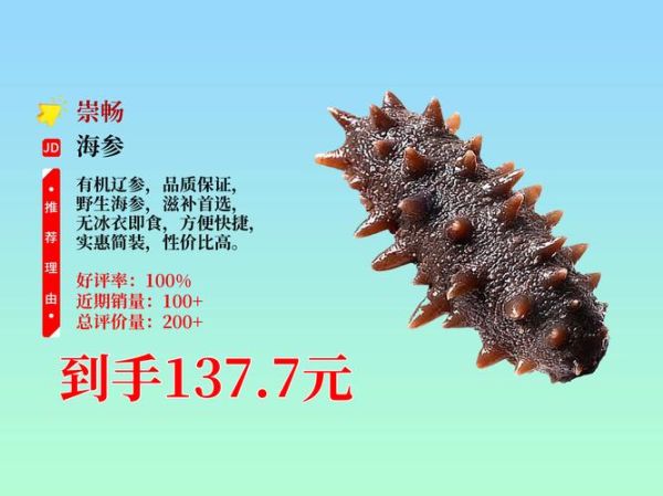 中国十大海参品牌有哪些_如何挑选正宗辽参-第2张图片-山城妙识