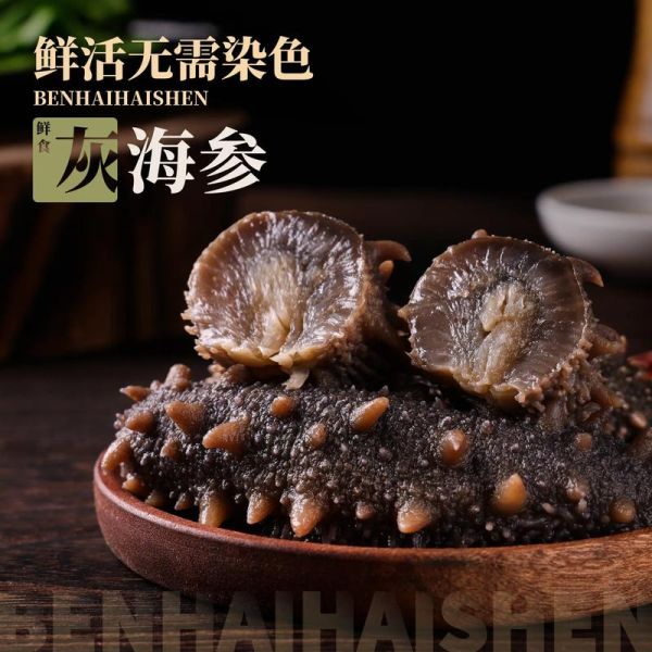 中国十大海参品牌有哪些_如何挑选正宗辽参-第3张图片-山城妙识