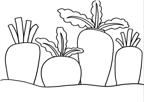 萝卜简笔画怎么画_萝卜简笔画图片大全集-第1张图片-山城妙识