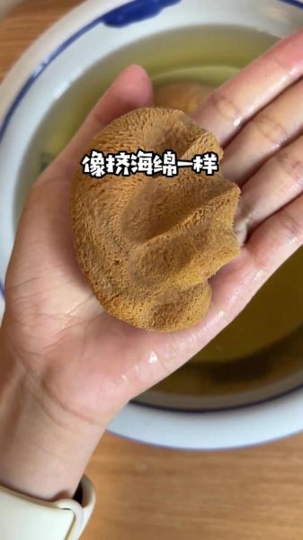 干猴头菇怎么泡发_干猴头菇的家常做法大全-第3张图片-山城妙识 干猴头菇怎么泡发_干猴头菇的家常做法大全-第3张图片-山城妙识