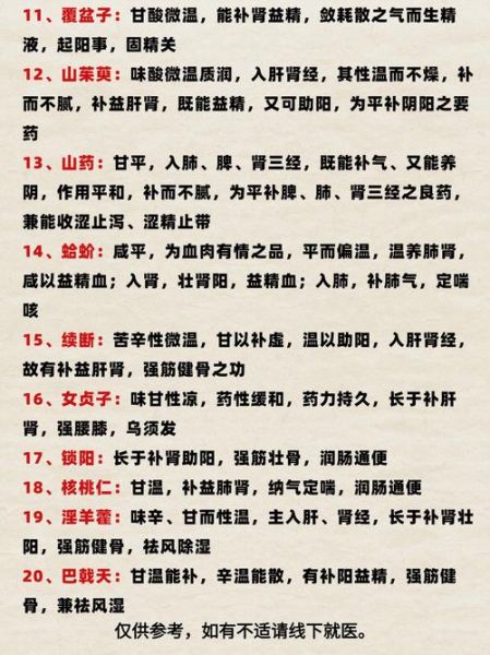 补肾填精吃什么好_益肾固涩的中药有哪些-第1张图片-山城妙识