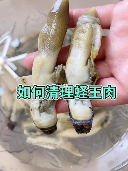 蛏子怎么去内脏_蛏子内脏清理视频教程-第3张图片-山城妙识