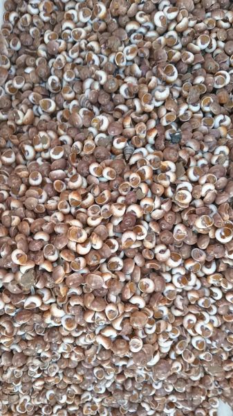 红螺食品怎么样_红螺食品有哪些特色产品-第2张图片-山城妙识