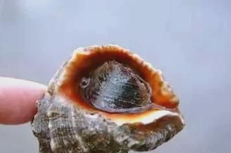 红螺食品怎么样_红螺食品有哪些特色产品-第3张图片-山城妙识