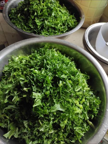 雪里红怎么吃_雪里红腌制做法-第1张图片-山城妙识