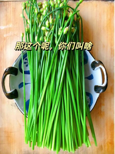 蒜薹是什么_蒜薹和蒜苗的区别-第3张图片-山城妙识