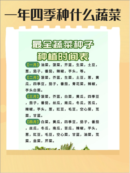 常见蔬菜名称大全_哪些蔬菜适合家庭种植-第1张图片-山城妙识