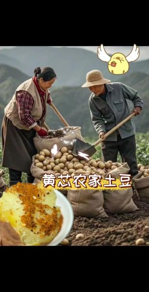 老土豆视频还能找到吗_老土豆视频去哪看-第1张图片-山城妙识