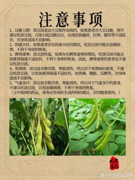 淡豆豉怎么吃好_淡豆豉一天吃多少合适-第3张图片-山城妙识 淡豆豉怎么吃好_淡豆豉一天吃多少合适-第3张图片-山城妙识