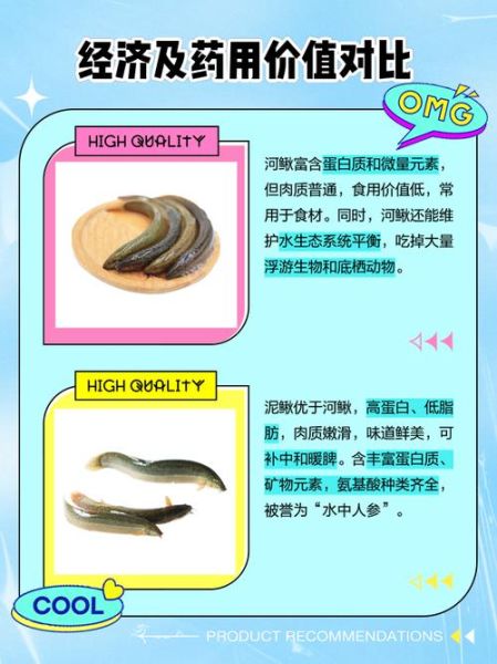 吃泥鳅的害处_泥鳅吃多了有什么坏处-第1张图片-山城妙识