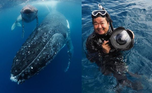 什么动物的鞭最大_蓝鲸生殖器长度揭秘-第3张图片-山城妙识 什么动物的鞭最大_蓝鲸生殖器长度揭秘-第3张图片-山城妙识