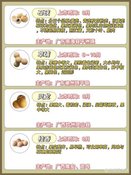 桂圆造句二年级_怎么用桂圆写句子-第1张图片-山城妙识