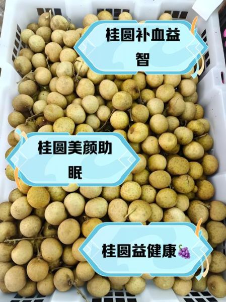 桂圆造句二年级_怎么用桂圆写句子-第3张图片-山城妙识