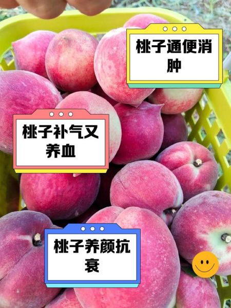 桃子能减肥吗_桃子的功效与作用-第3张图片-山城妙识 桃子能减肥吗_桃子的功效与作用-第3张图片-山城妙识