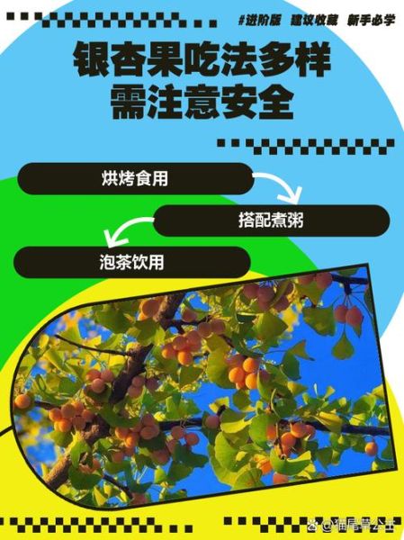 白果怎么吃最安全_白果怎样食用-第1张图片-山城妙识 白果怎么吃最安全_白果怎样食用-第1张图片-山城妙识
