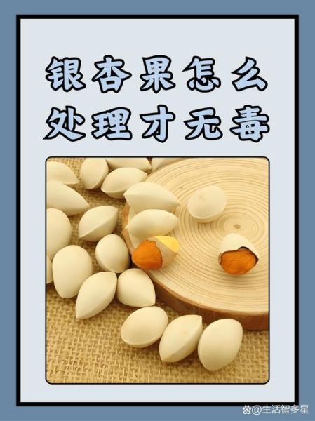 长期吃白果有何副作用_白果中毒症状多久出现-第1张图片-山城妙识