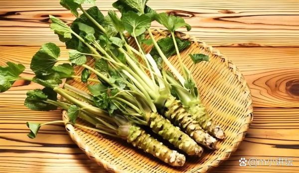 黄芥末怎么做_黄芥末和绿芥末区别-第3张图片-山城妙识