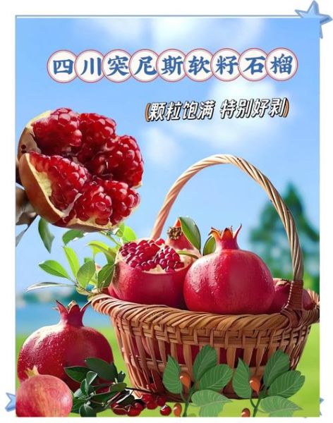 一天吃多少石榴合适_石榴吃多了会怎样-第2张图片-山城妙识 一天吃多少石榴合适_石榴吃多了会怎样-第2张图片-山城妙识