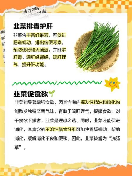 吃韭菜的好处和坏处_韭菜吃多了有什么副作用-第1张图片-山城妙识 吃韭菜的好处和坏处_韭菜吃多了有什么副作用-第1张图片-山城妙识