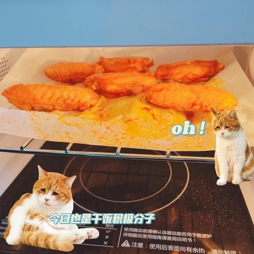 光波炉食谱大全_光波炉怎么做菜-第1张图片-山城妙识 光波炉食谱大全_光波炉怎么做菜-第1张图片-山城妙识