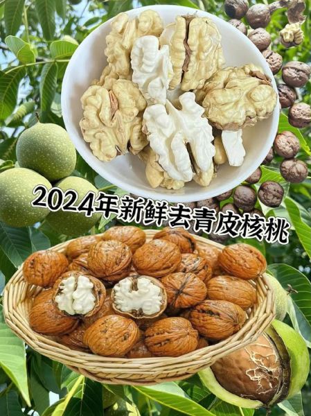 生核桃可以直接吃吗_生核桃生吃安全吗-第1张图片-山城妙识 生核桃可以直接吃吗_生核桃生吃安全吗-第1张图片-山城妙识