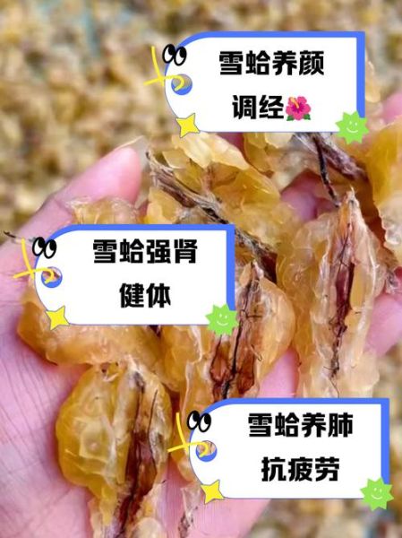 雪蛤的功效与作用禁忌_雪蛤适合什么人吃-第3张图片-山城妙识 雪蛤的功效与作用禁忌_雪蛤适合什么人吃-第3张图片-山城妙识