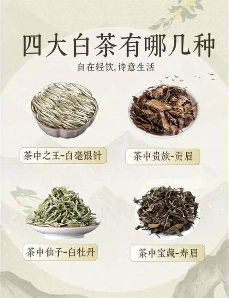 白茶适合什么季节喝_白茶适合夏天还是冬天-第3张图片-山城妙识 白茶适合什么季节喝_白茶适合夏天还是冬天-第3张图片-山城妙识