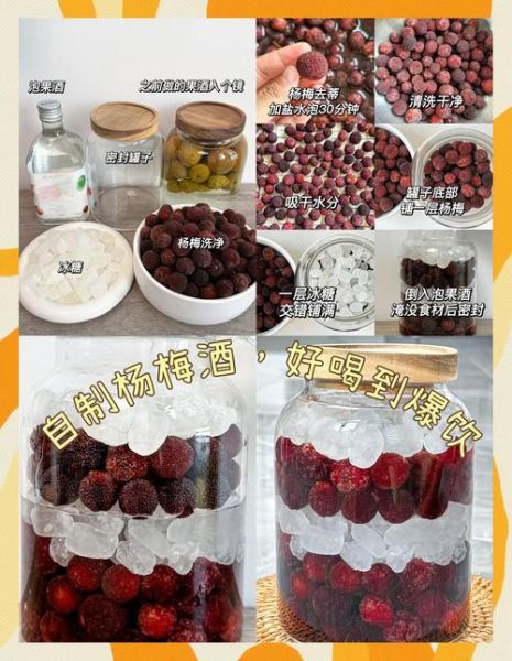 杨梅酒怎么酿_杨梅酒酿制方法步骤-第2张图片-山城妙识 杨梅酒怎么酿_杨梅酒酿制方法步骤-第2张图片-山城妙识