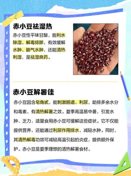 体寒能吃赤小豆吗_赤小豆适合体寒人群吗-第1张图片-山城妙识