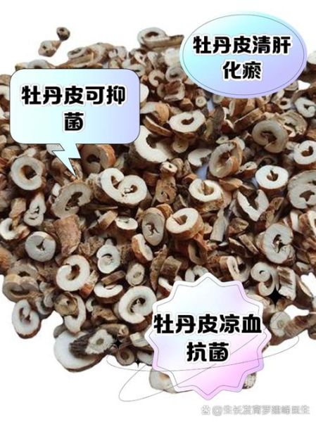 丹皮的功效与作用_丹皮怎么吃效果最好-第1张图片-山城妙识 丹皮的功效与作用_丹皮怎么吃效果最好-第1张图片-山城妙识