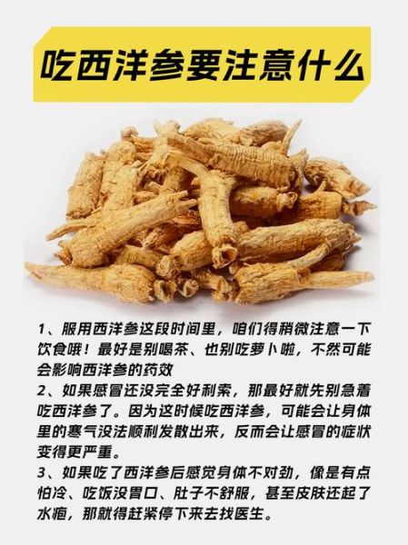 西洋参的功效与作用_适合哪些人吃-第1张图片-山城妙识 西洋参的功效与作用_适合哪些人吃-第1张图片-山城妙识