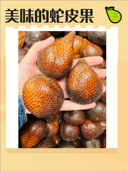 蛇皮果怎么吃最有营养_蛇皮果的正确吃法-第2张图片-山城妙识 蛇皮果怎么吃最有营养_蛇皮果的正确吃法-第2张图片-山城妙识