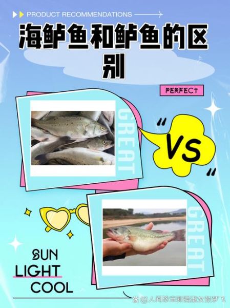 鲈鱼图片真实图片_如何辨别野生与养殖-第1张图片-山城妙识