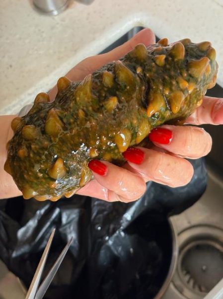 山东海参多少钱一斤_山东海参怎么挑选-第3张图片-山城妙识 山东海参多少钱一斤_山东海参怎么挑选-第3张图片-山城妙识