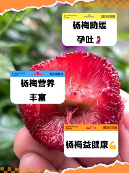 孕妇能吃杨梅吗_孕妇吃杨梅的好处与禁忌-第1张图片-山城妙识